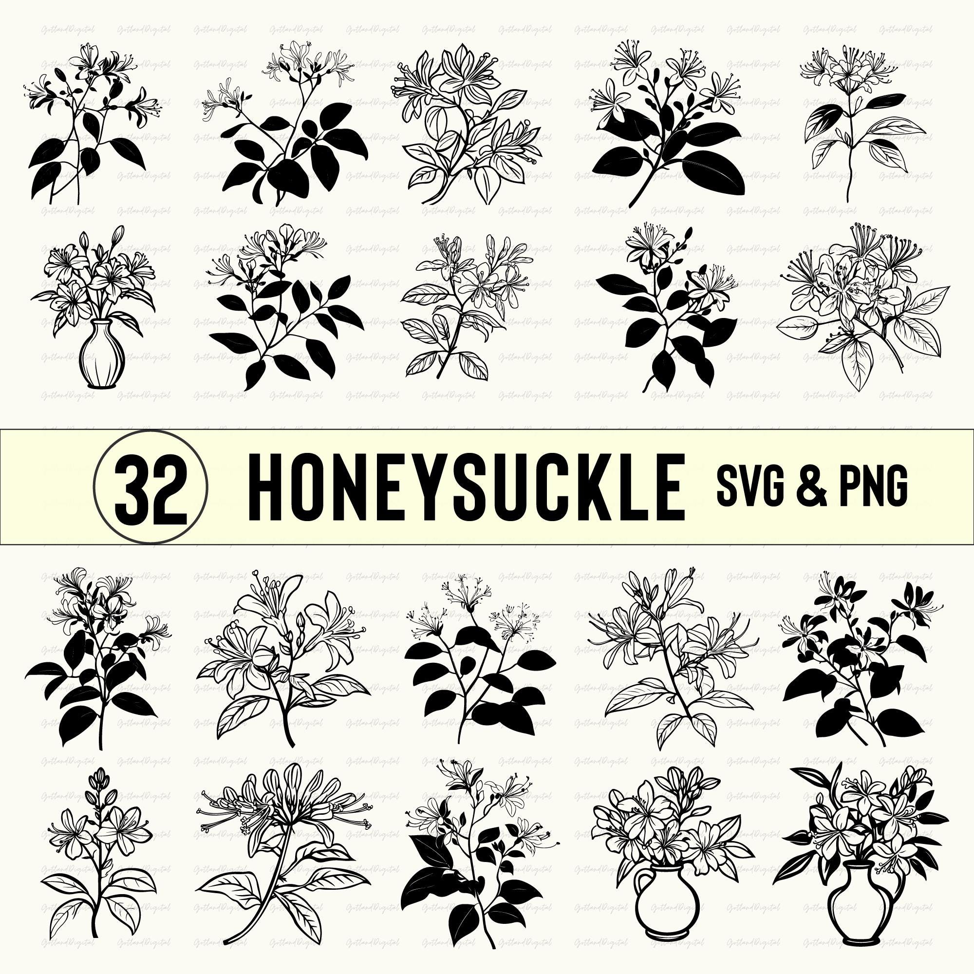 Honeysuckle Svg Png, Honeysuckle Silhouette, Honeysuckle Clipart ...