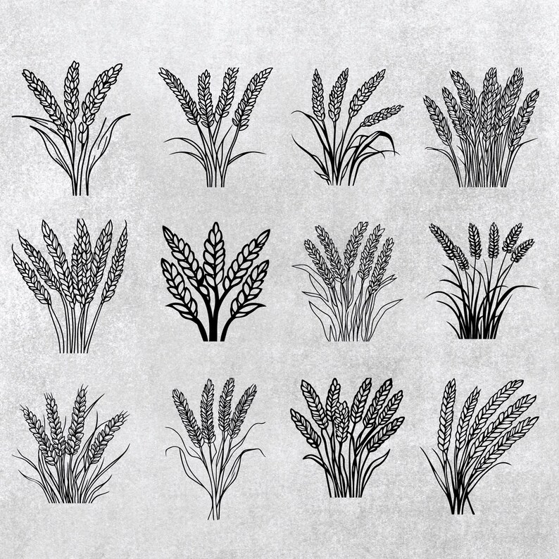 Wheat SVG Bundle: Silhouette Clipart Vector Designs (PNG, Cricut Files ...