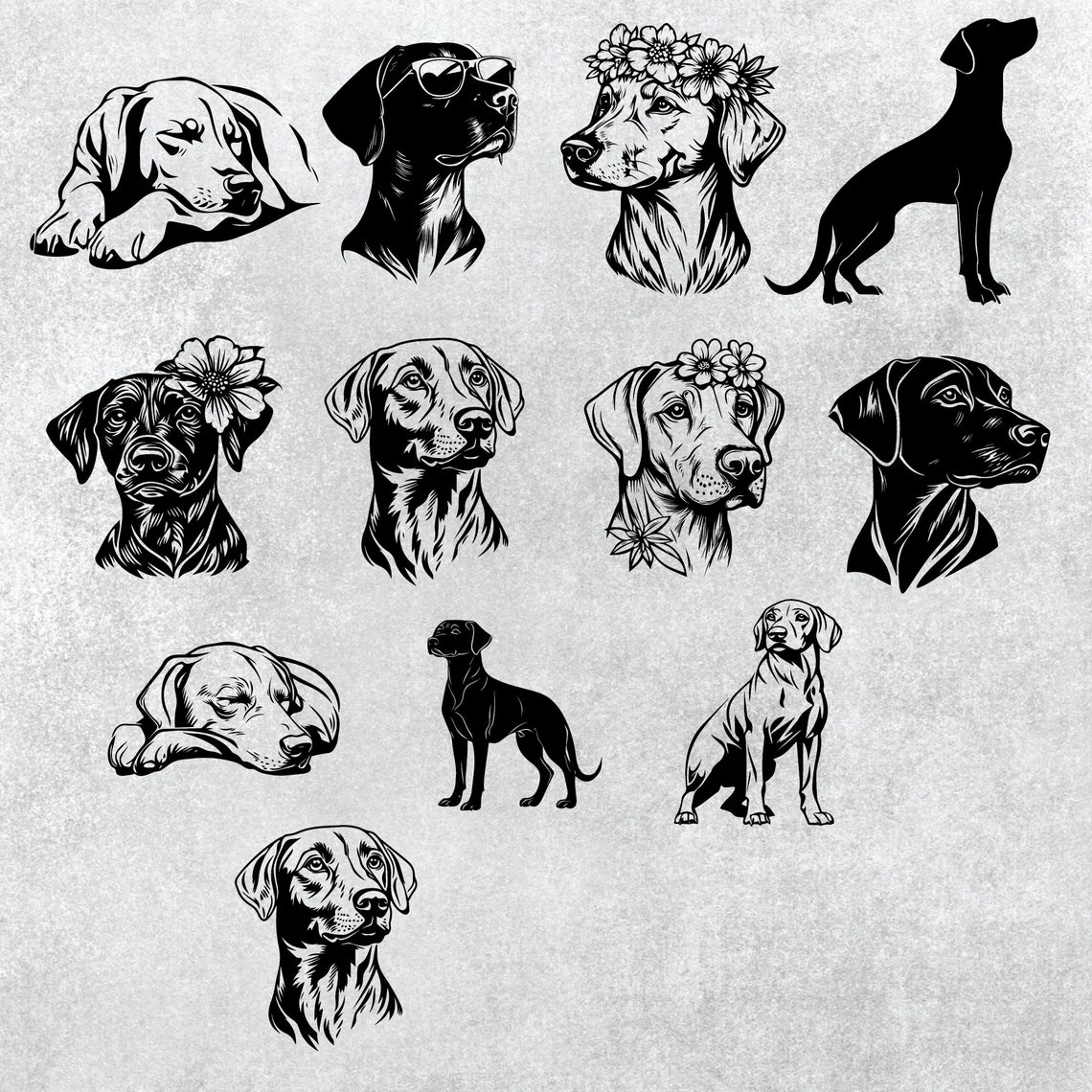 Plott Hound SVG Bundle: Silhouette Clipart Vector (PNG, 300 DPI) - Etsy