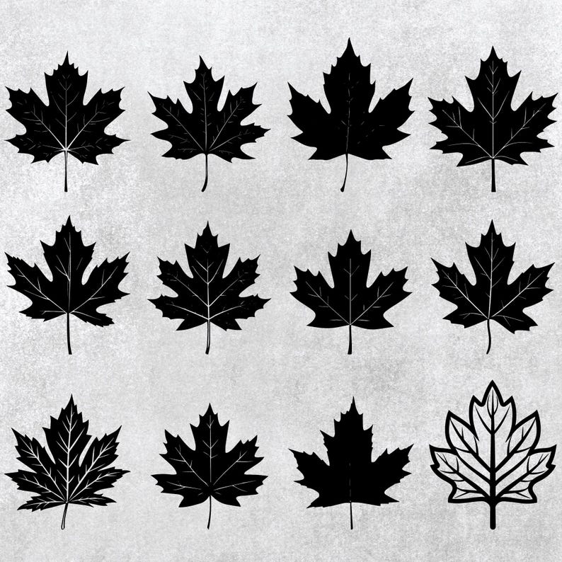 Maple Leaf SVG Bundle: Vector Clipart, Cricut Cut Files - Etsy
