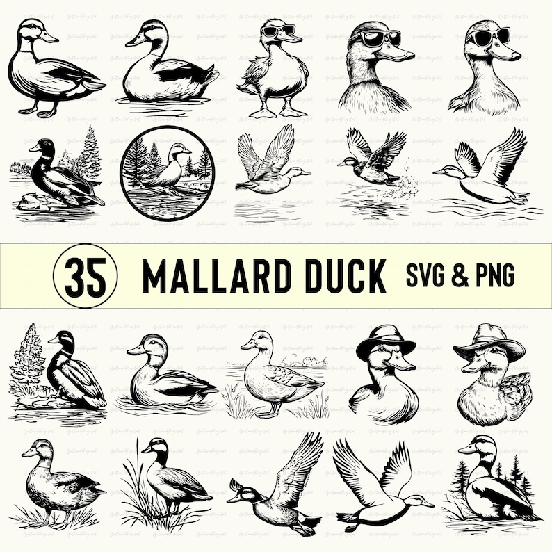 Mallard Duck SVG PNG Clipart: Vector Cut File Bundle - Etsy