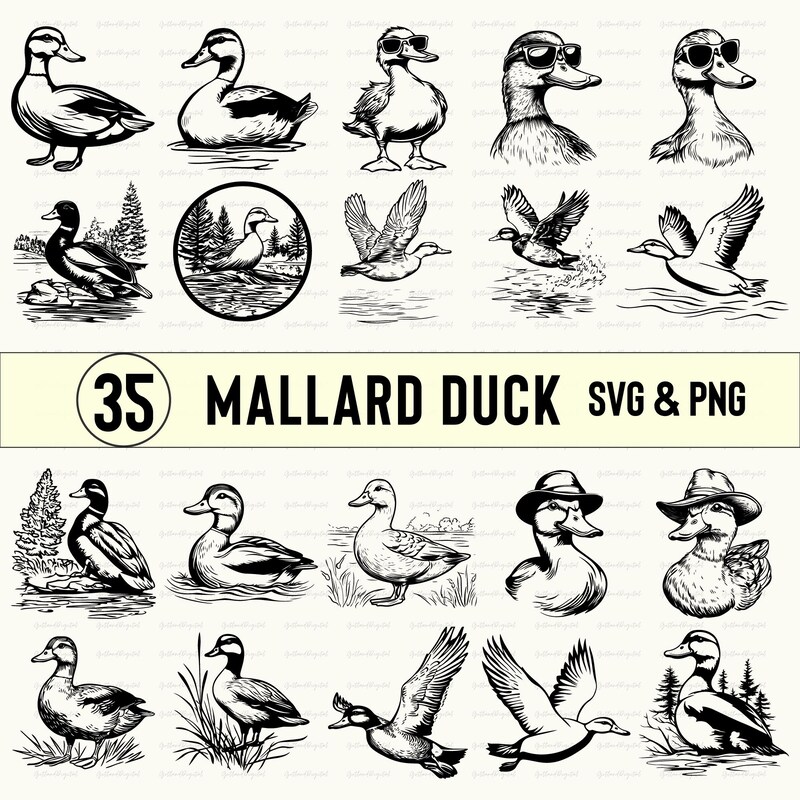 Duck Svg - Etsy