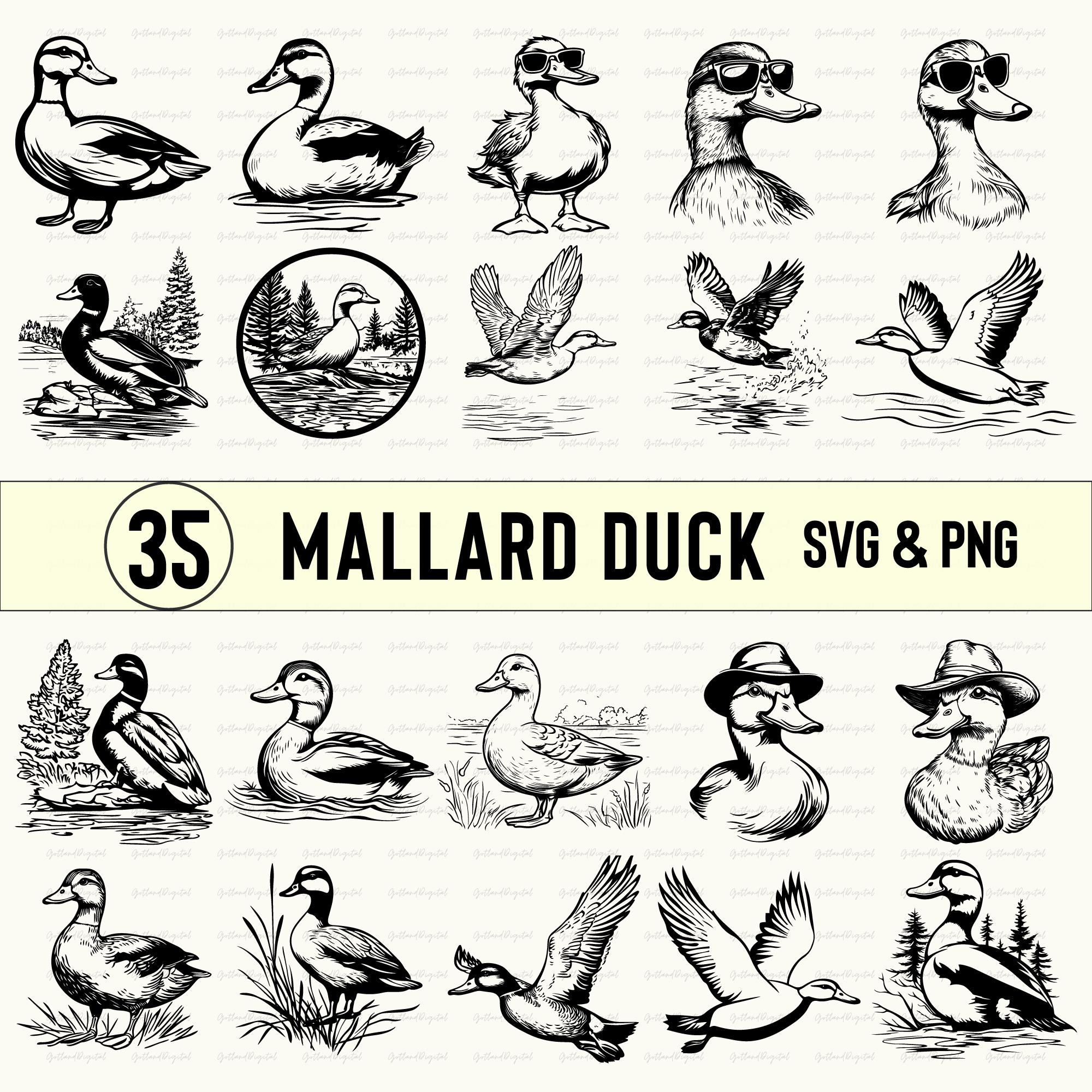 Mallard Duck SVG PNG Clipart: Vector Cut File Bundle - Etsy