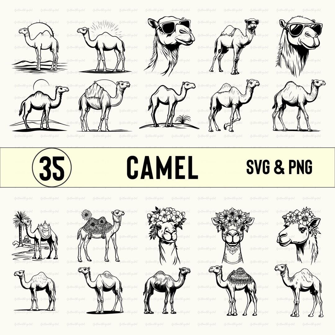 Camel Svg PNG Bundle, Camel Silhouette, Camel Clipart, Camel Vector Art, Camel Decal, Camel Cut ...