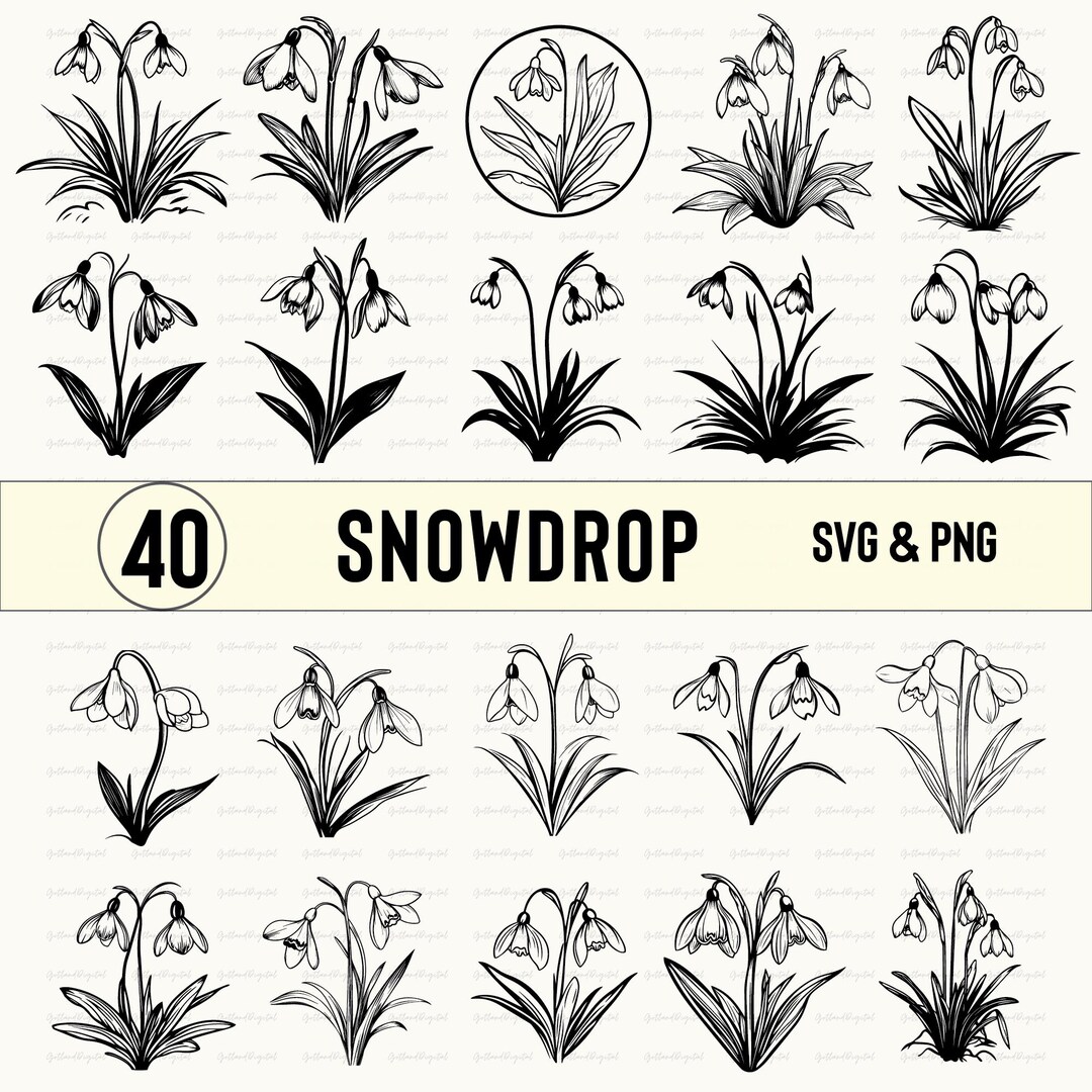 Snowdrop Flower SVG PNG Bundle: Floral Clipart, Cut Files - Etsy Australia
