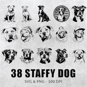 Staffy Dog Svg Bundle, Staffy Dog Silhouette, Staffy Dog Clipart ...