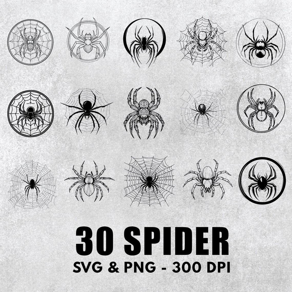 Spider SVG PNG Bundle: Spider Clipart, Decal, Outline Art - Etsy