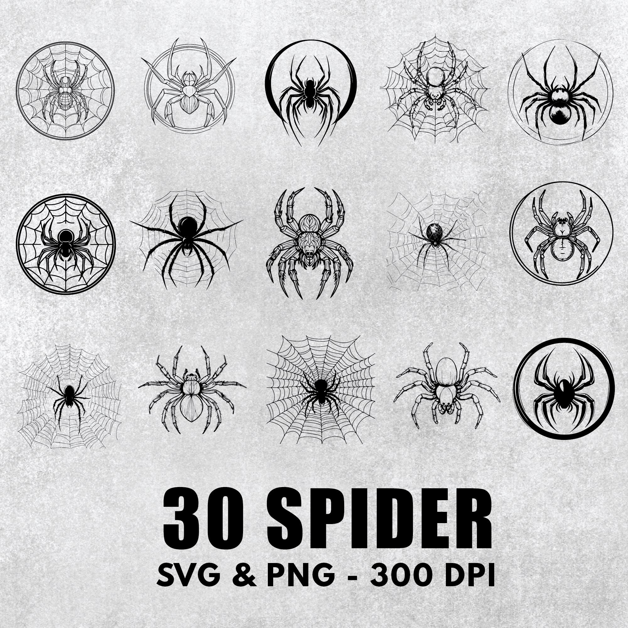 Spider Svg Png Bundle, Spider Vector Set, Spider Clipart, Spider Decal ...