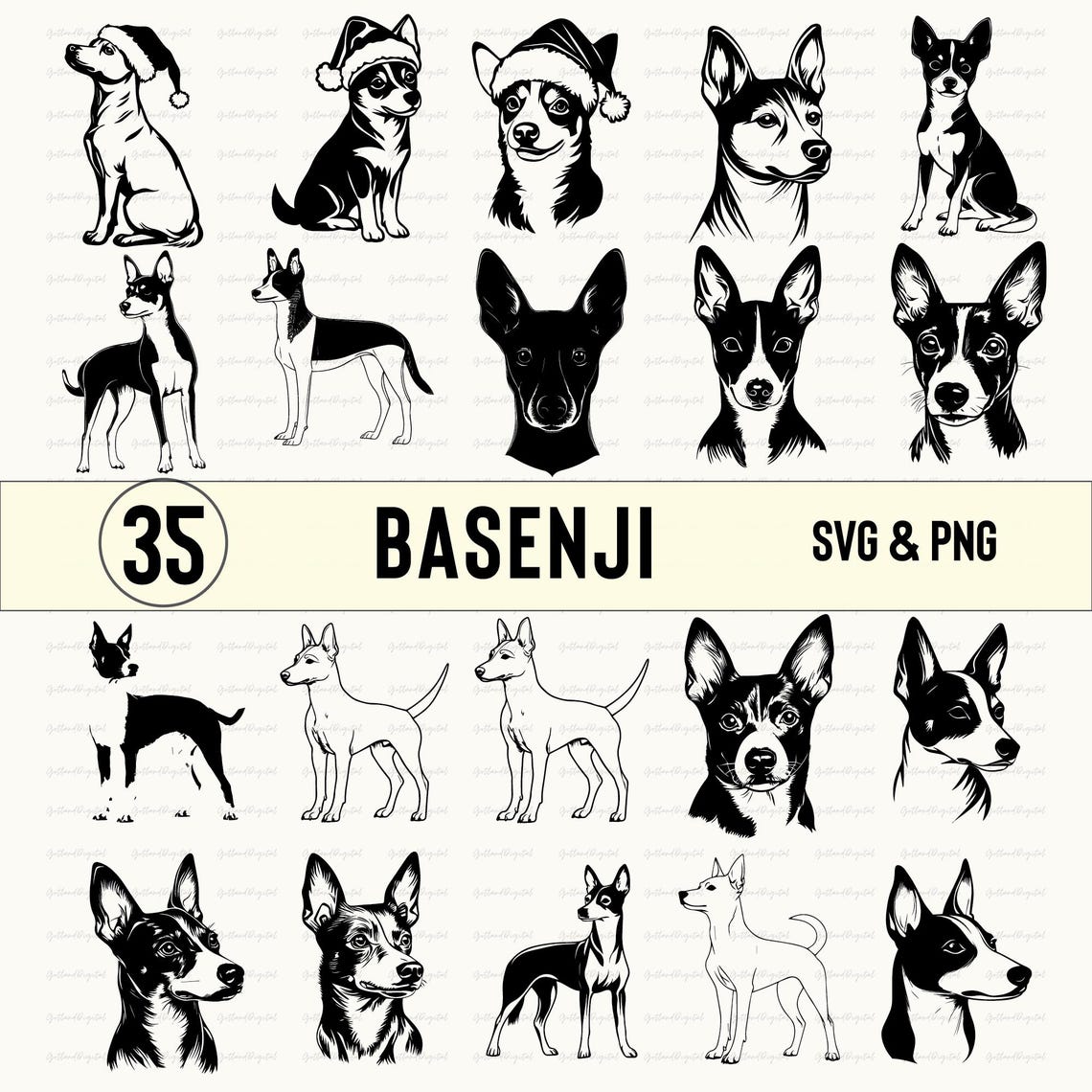 Basenji Svg Bundle, Basenji Silhouette, Basenji Clipart, Basenji Vector ...