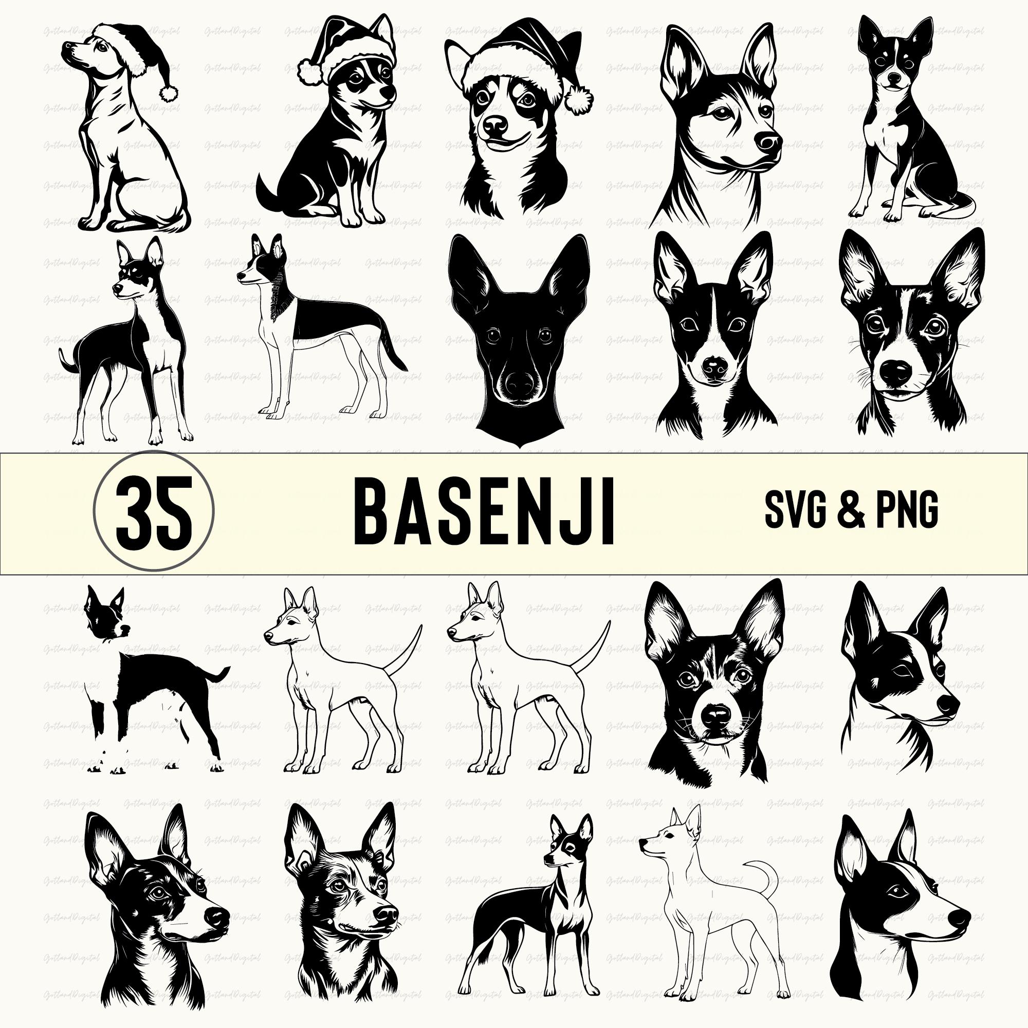 Basenji Svg Bundle, Basenji Silhouette, Basenji Clipart, Basenji Vector ...