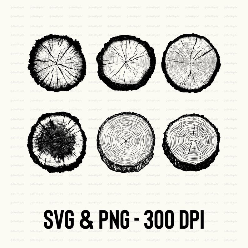 Tree Slice Slab Svg Png, Tree Slice Slab Clipart, Tree Slice Slab ...
