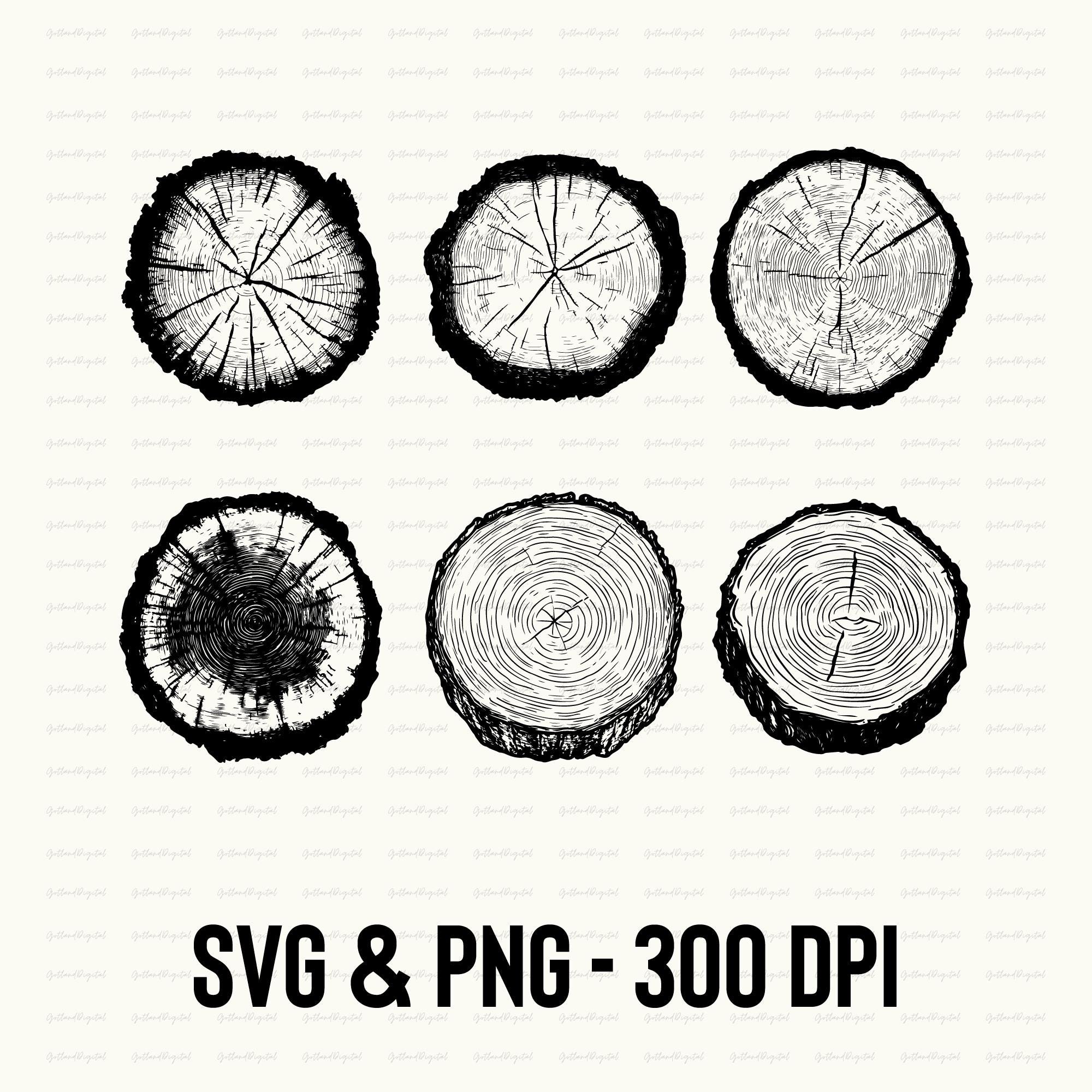 Tree Slice Slab Svg Png, Tree Slice Slab Clipart, Tree Slice Slab ...