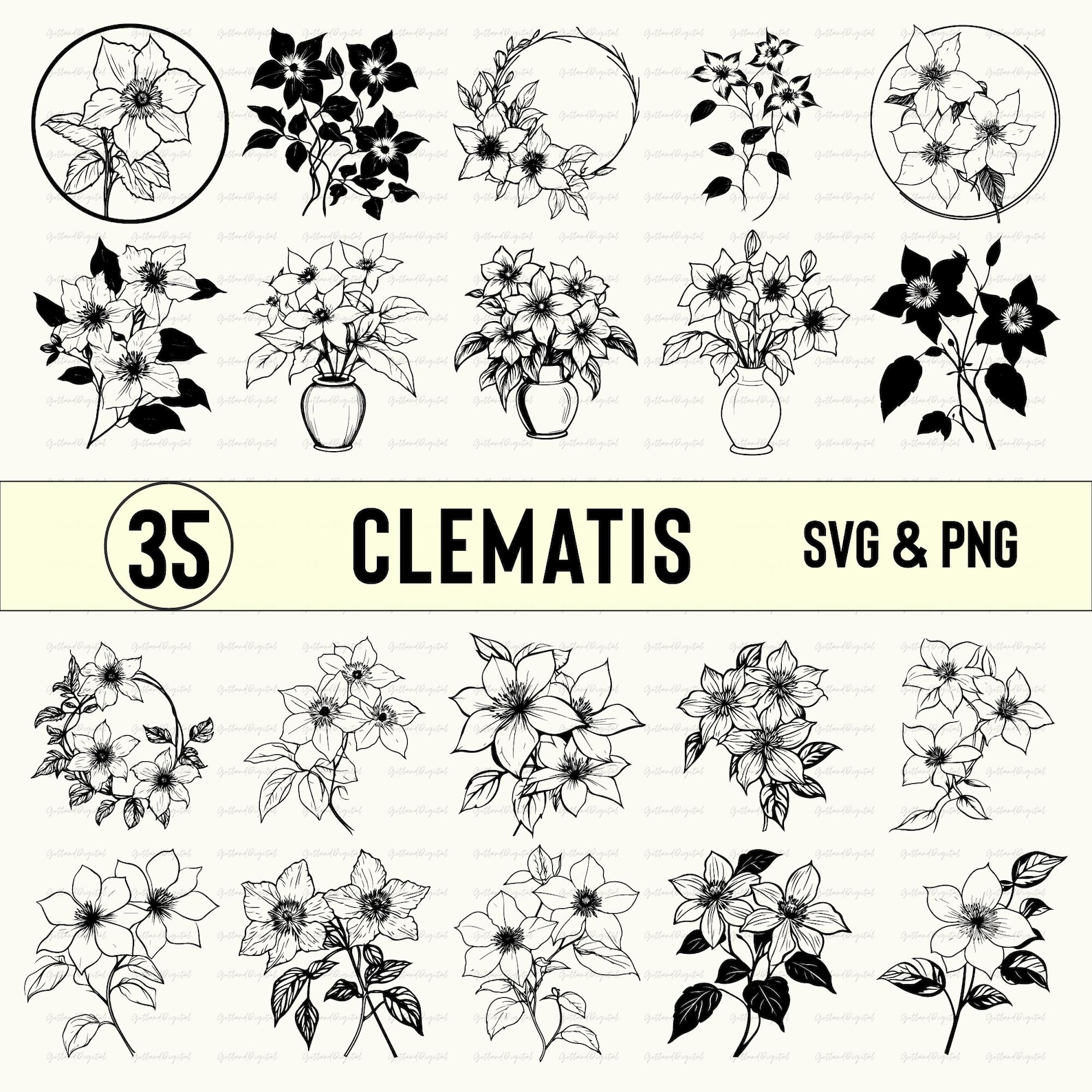 Clematis Svg Png, Clematis Silhouette, Clematis Clipart, Clematis ...