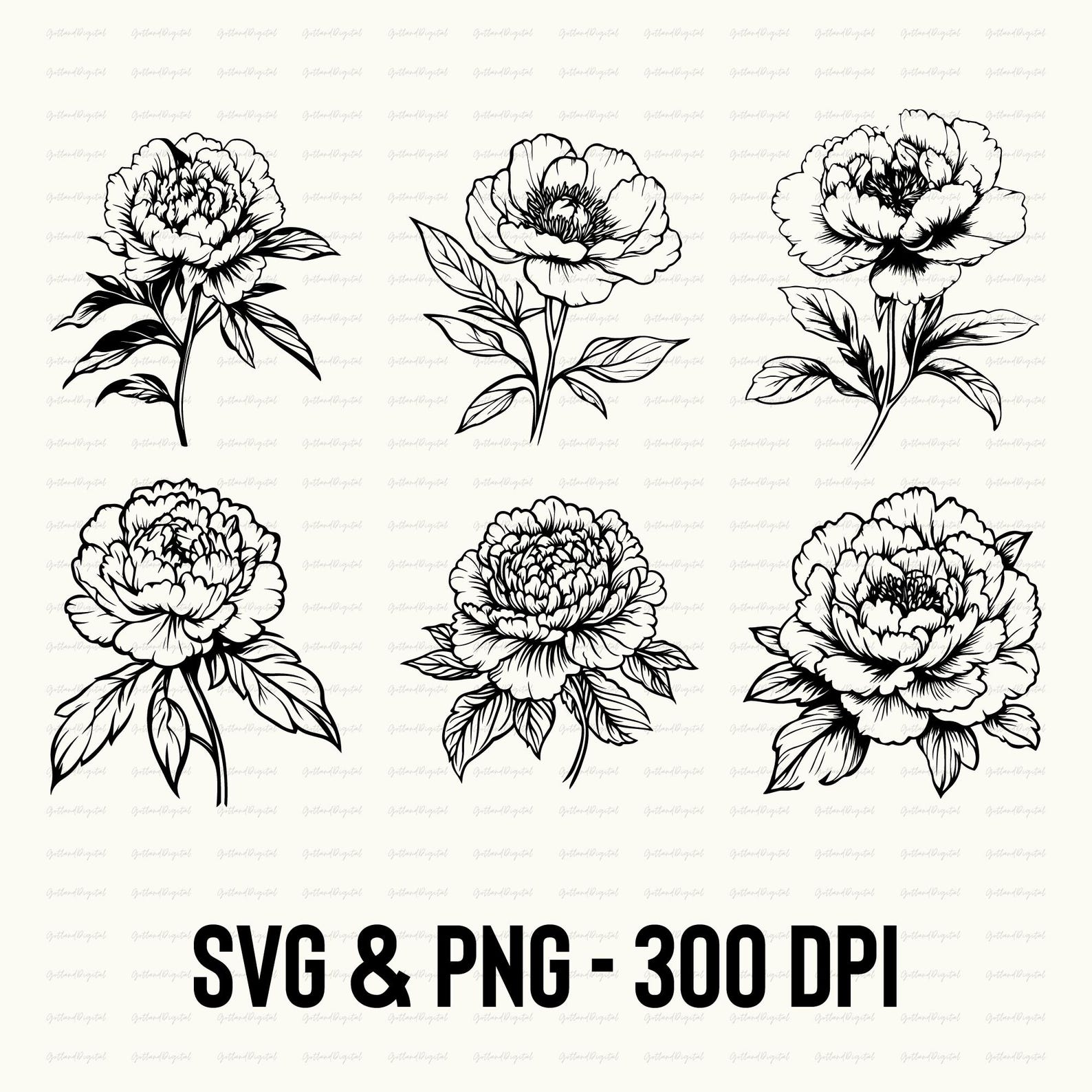 Peony Flower SVG PNG Bundle, Peony Flower Clipart, Peony Silhouette ...