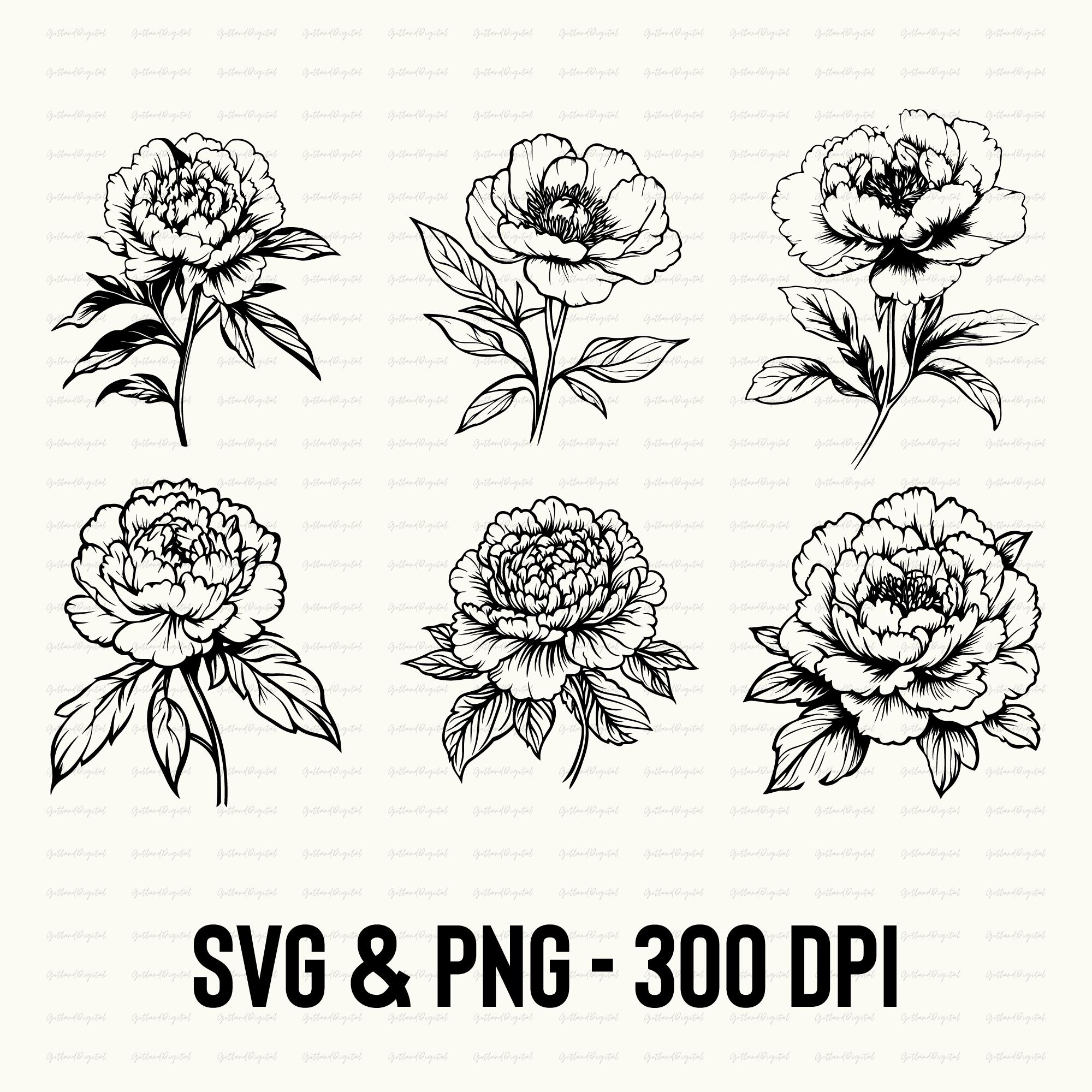 Peony Flower SVG PNG Bundle, Peony Flower Clipart, Peony Silhouette ...