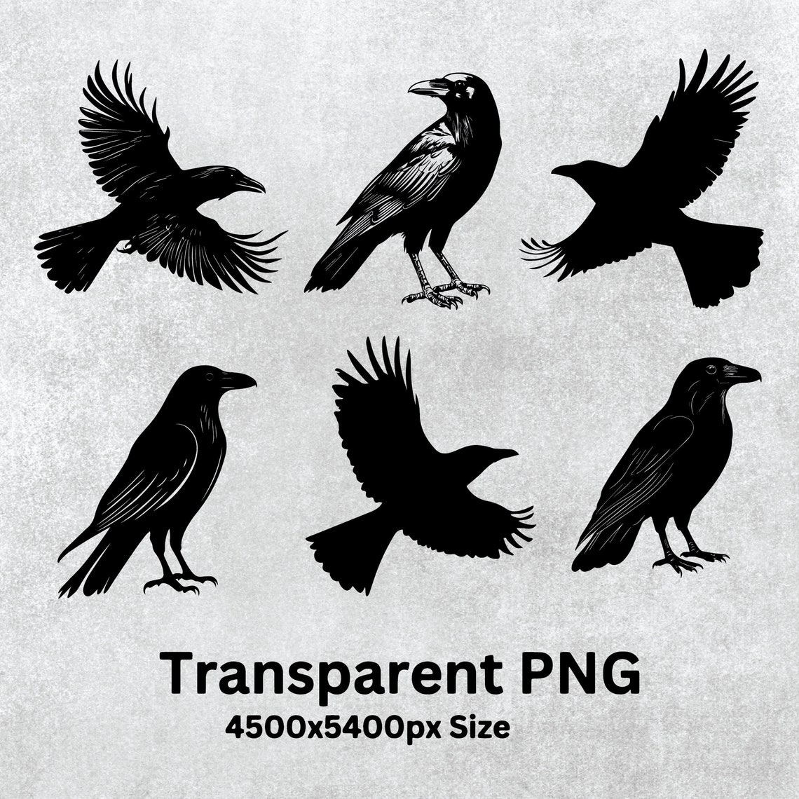 Raven Silhouette Bundle Svg, Raven Svg Vector Set, Raven Clipart Png ...