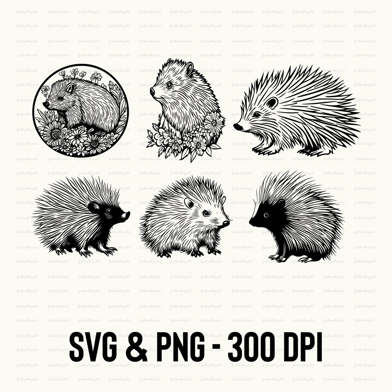 Porcupine SVG PNG Clipart: Cricut Cut Files, Decal Designs - Etsy