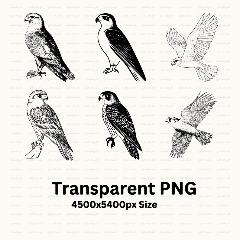 Falcon Svg Bundle, Falcon Silhouette, Falcon Clipart, Falcon Vector ...