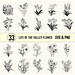 Valley Flower SVG PNG Bundle: Floral Clipart, Silhouette, Vector ...