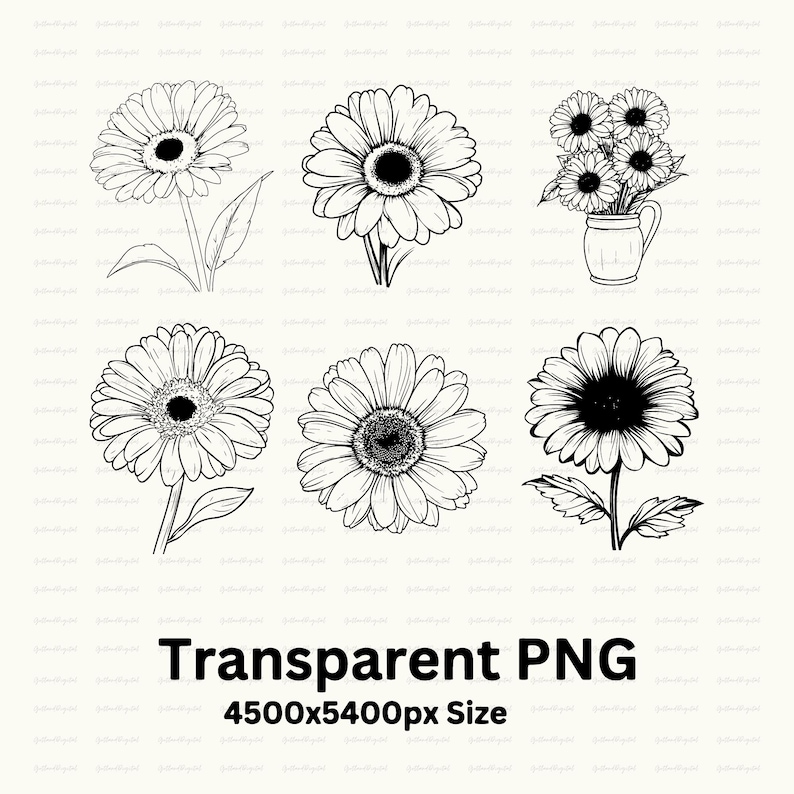 Gerbera Flower SVG PNG: Floral Outline Clipart, Cricut Cut File - Etsy