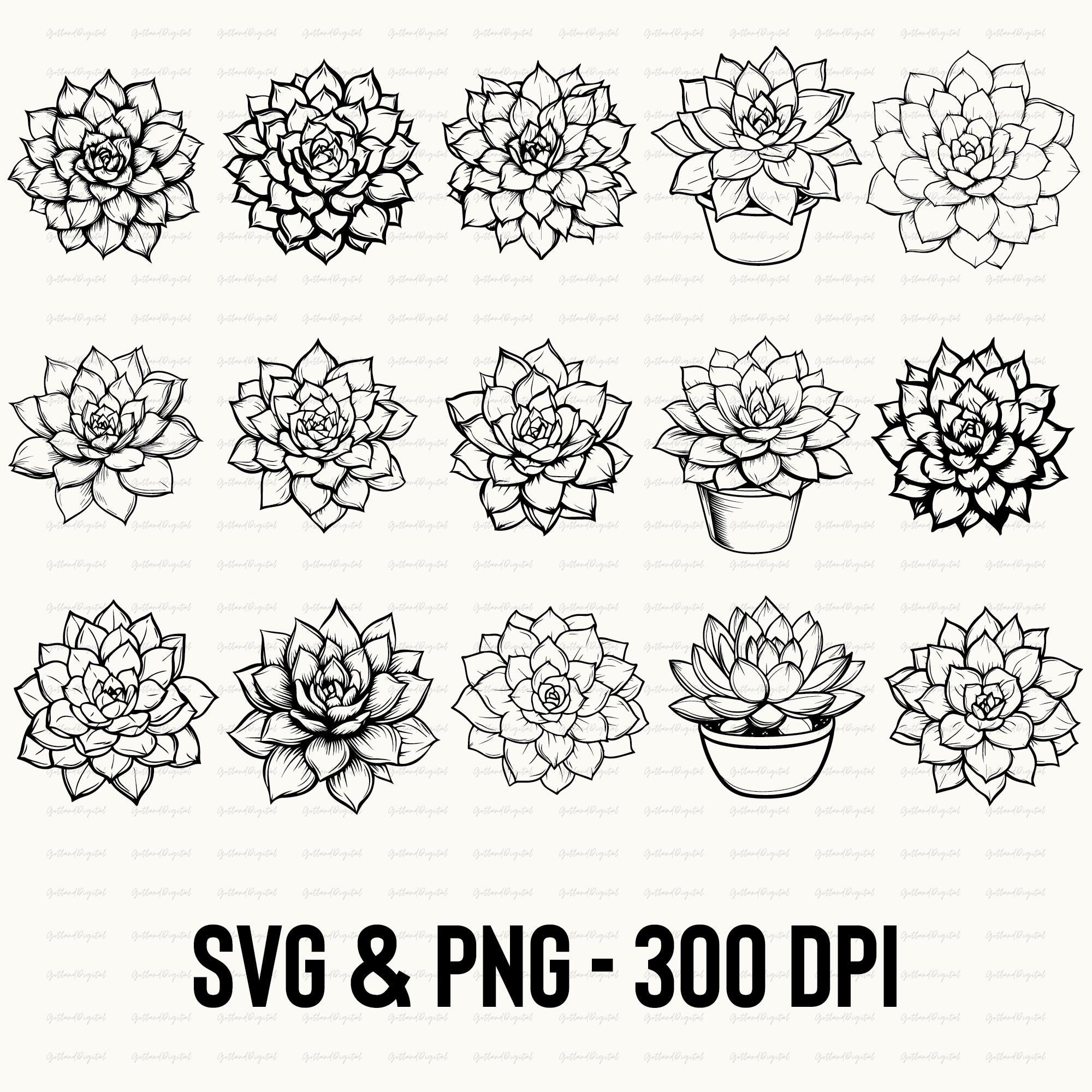 Succulent SVG Bundle: Silhouette Clipart, Decal Cut Files - Etsy