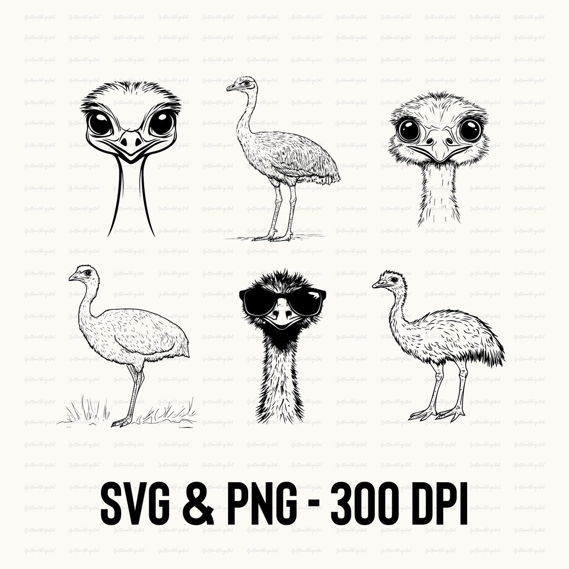 Emu SVG Bundle: Silhouette Clipart Vector Designs (PNG, SVG) - Etsy