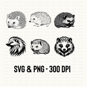 Hedgehog SVG Bundle: Silhouette Clipart Vector Designs (PNG) - Etsy