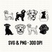 Schnoodle Dog Silhouette Bundle: SVG, PNG, Cricut Cut Files - Etsy