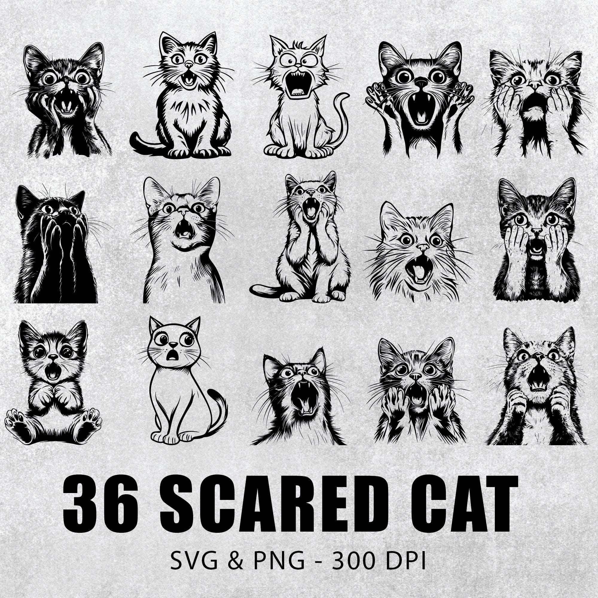 Scared Cat SVG Bundle: Vector Clipart, Cricut Decal (PNG, 300 DPI) - Etsy