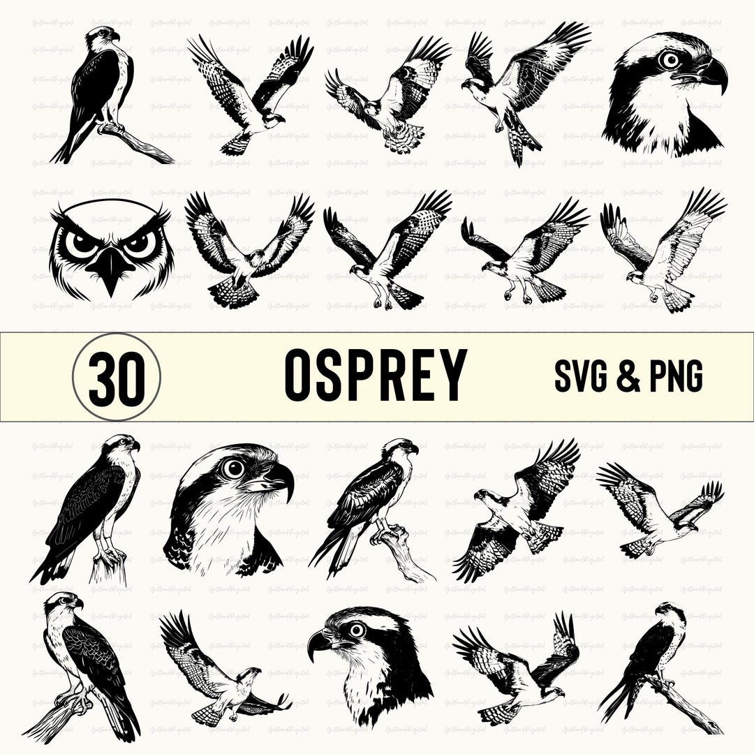 Osprey SVG Bundle: Silhouette Clipart, Vector Decal (PNG) - Etsy