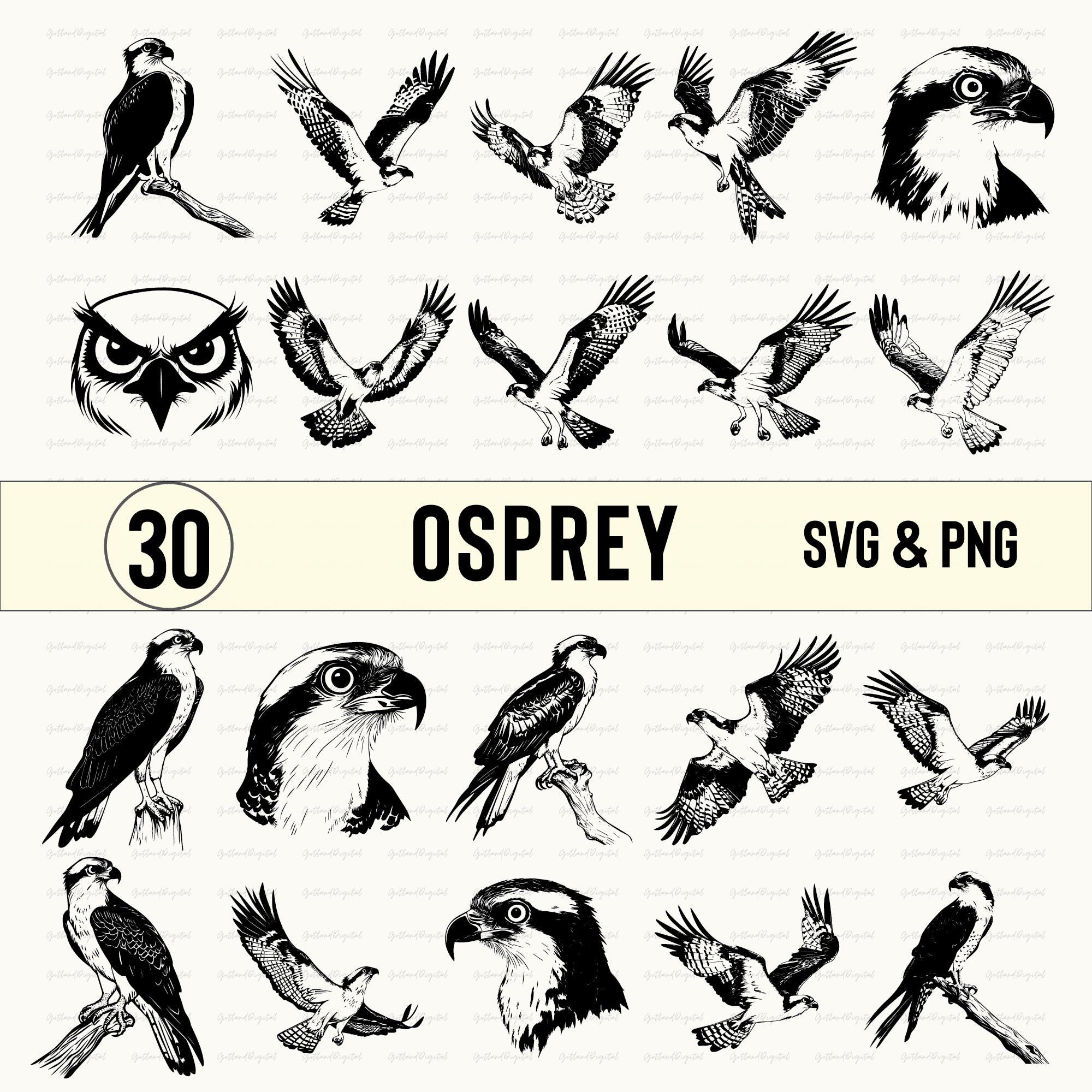 Osprey Svg Bundle, Osprey Silhouette Png, Osprey Clipart, Osprey Vector ...