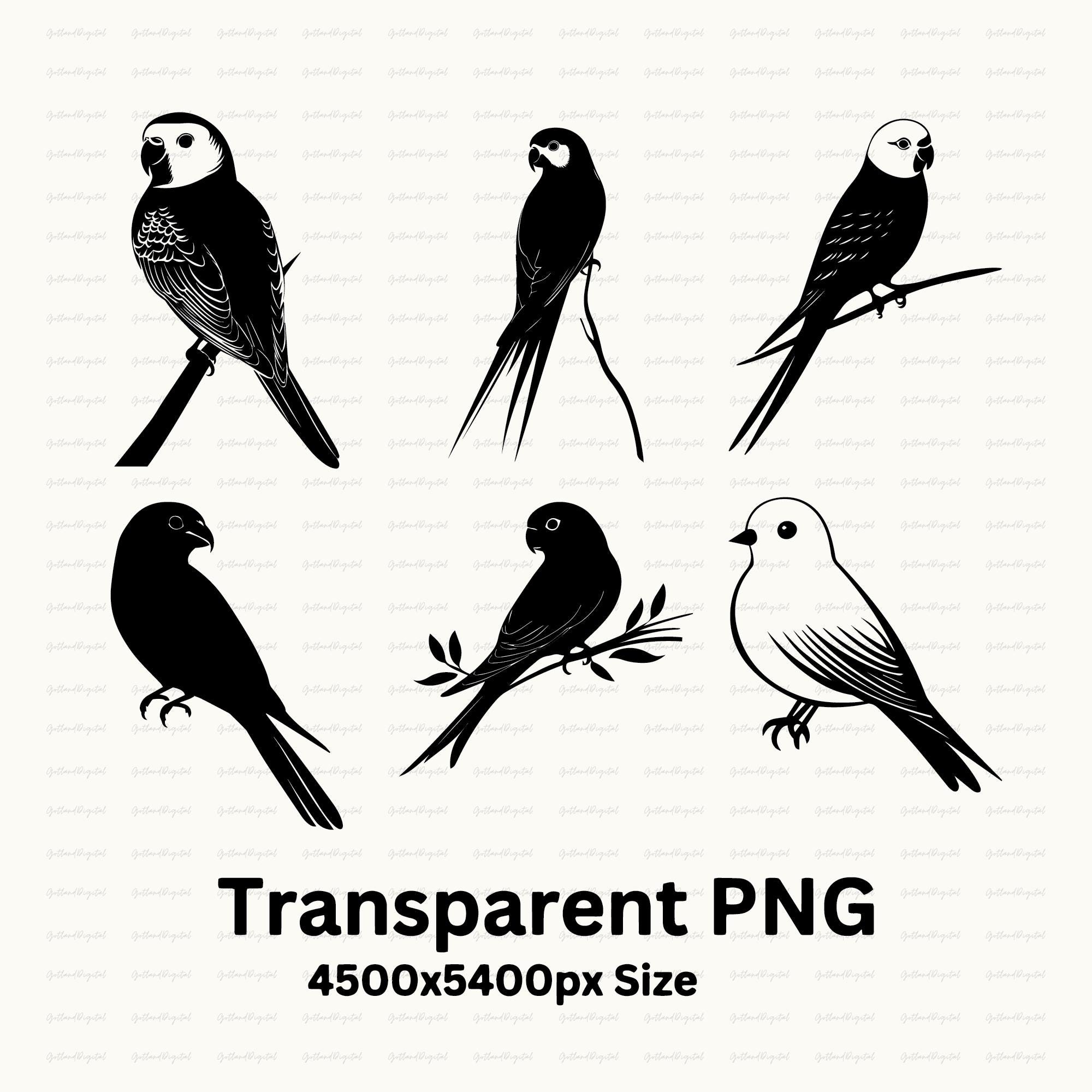 Budgie Bird Svg Bundle, Budgie Bird Silhouette, Budgie Bird Clipart ...
