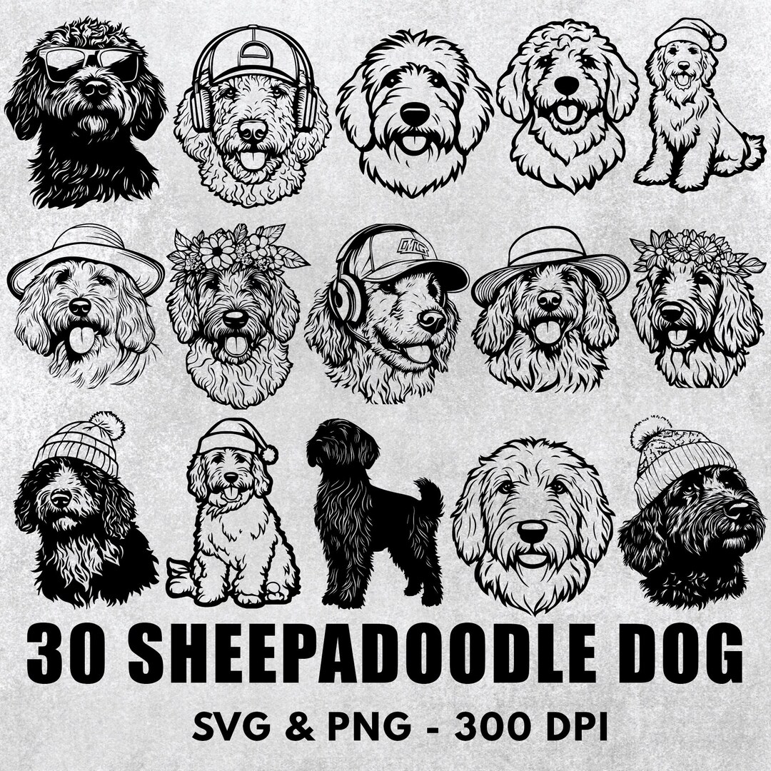 Sheepadoodle Dog SVG Bundle: Silhouette Clipart, Decal Logo (PNG) - Etsy