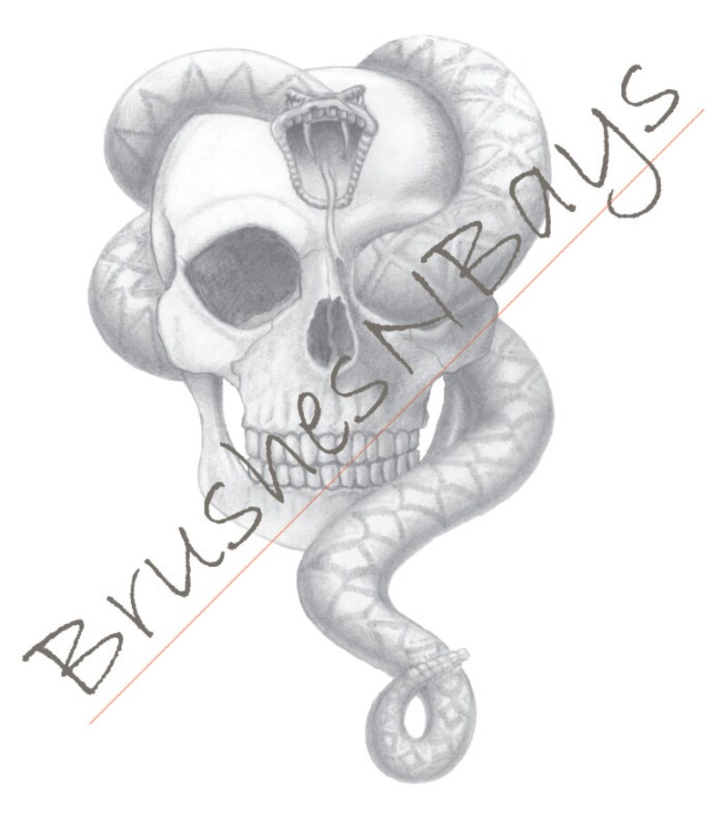 Skull and Snake Drawing 11 X 17 - Etsy