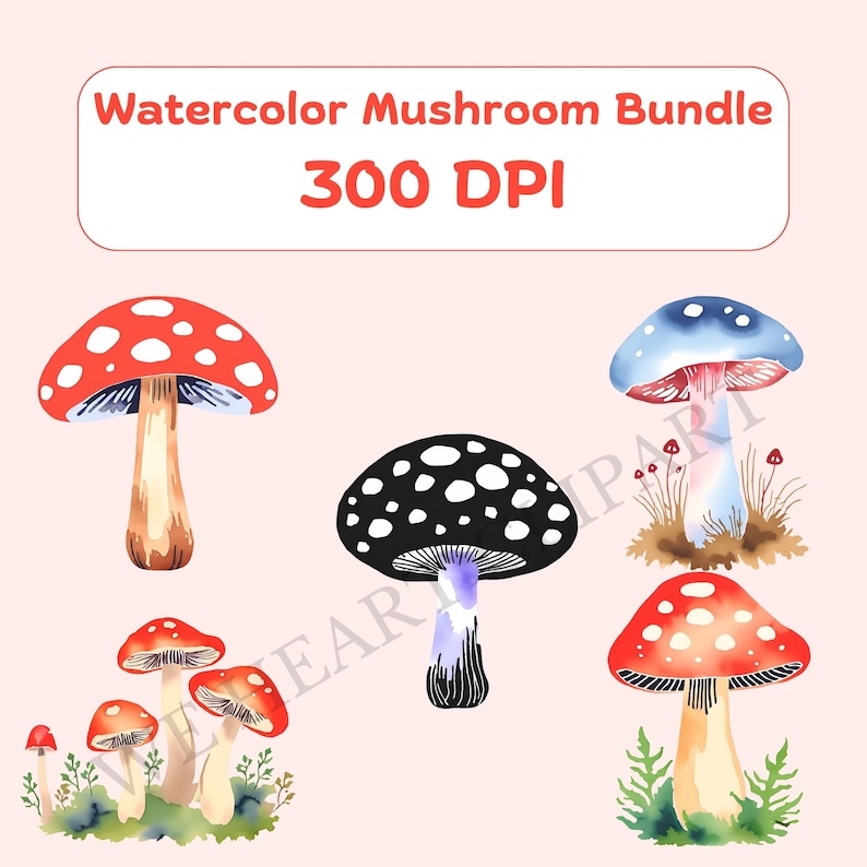 Watercolor Mushroom Clipart SVG PNG JPG Watercolor Mushrooms Clip Art ...
