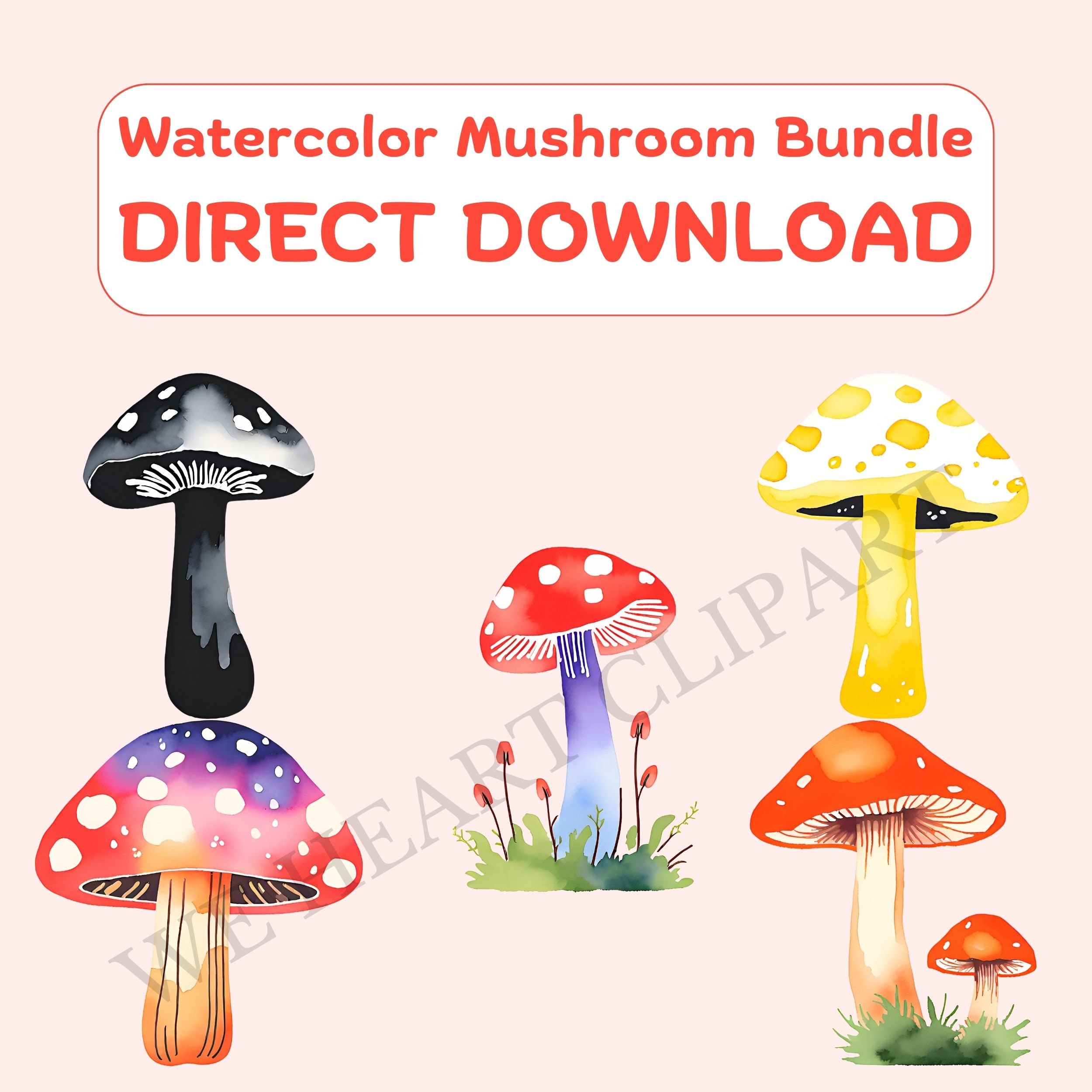 Watercolor Mushroom Clipart SVG PNG JPG Watercolor Mushrooms Clip Art ...