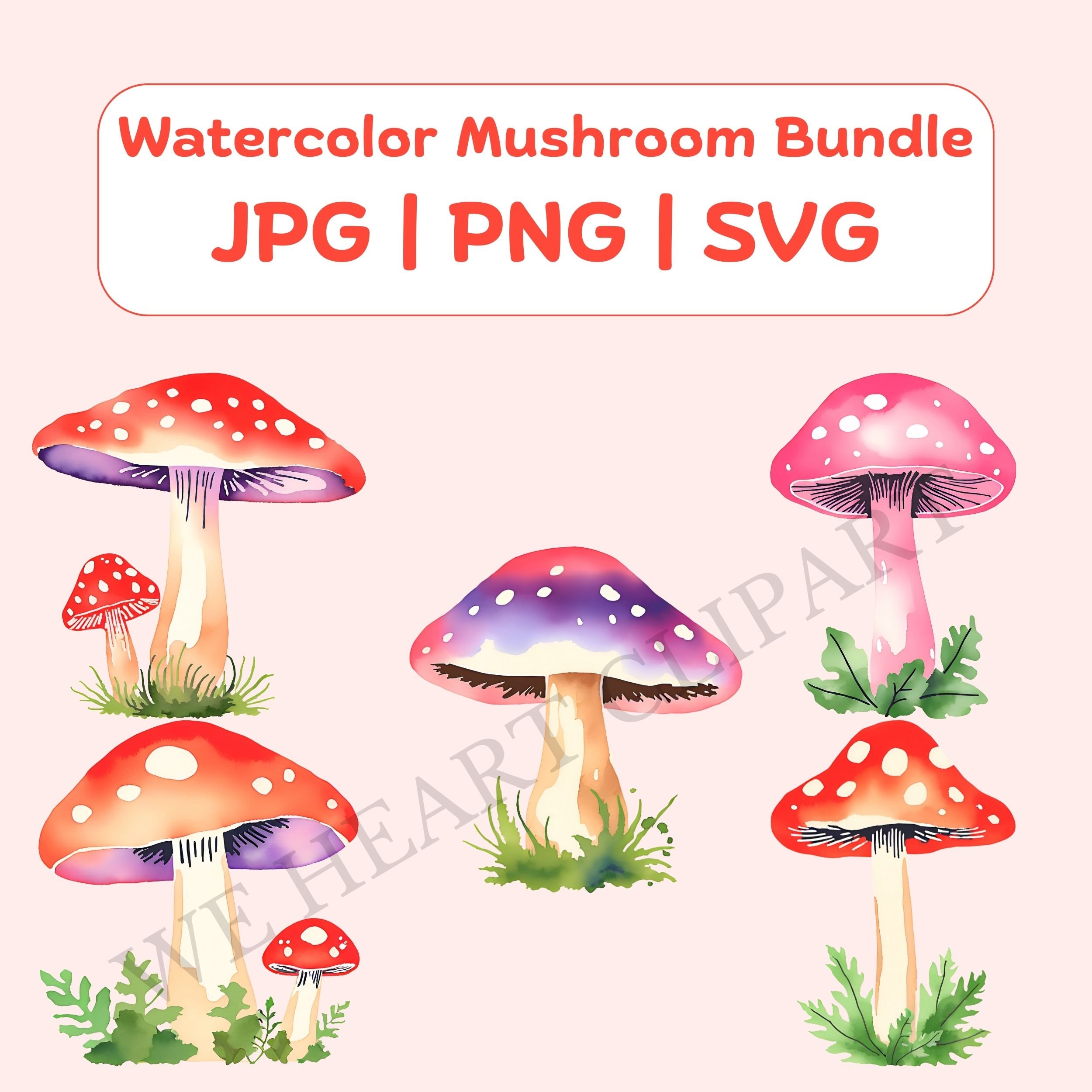 Watercolor Mushroom Clipart SVG PNG JPG Watercolor Mushrooms Clip Art ...