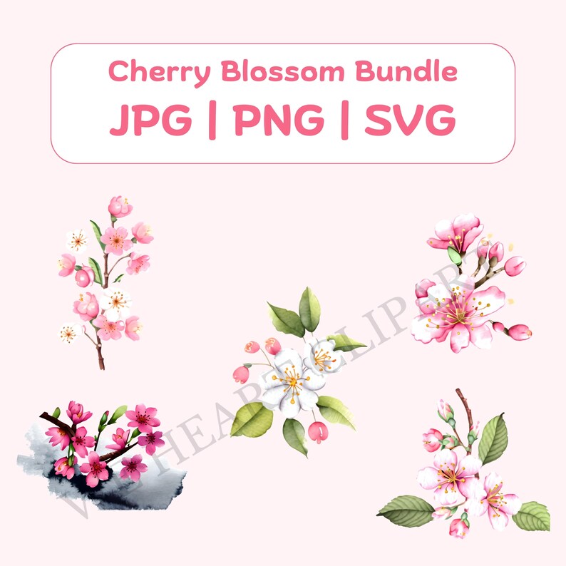 Watercolor Cherry Blossom SVG PNG JPG Watercolor Sakura Clip Art Bundle ...