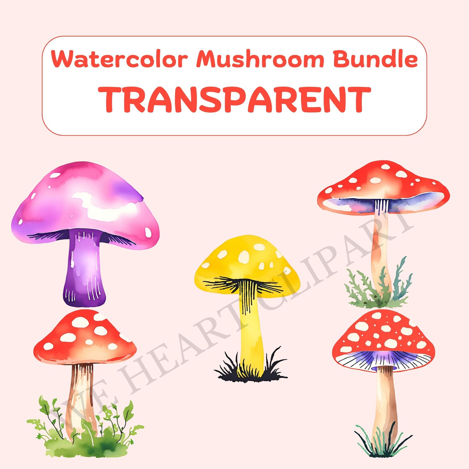 Watercolor Mushroom Clipart SVG PNG JPG Watercolor Mushrooms Clip Art ...