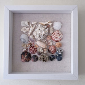 Color Gradient Shell Mosaic Shadow Box Art With Glass Enclosure ...