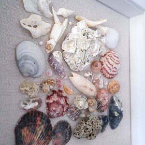 Color Gradient Shell Mosaic Shadow Box Art With Glass Enclosure ...