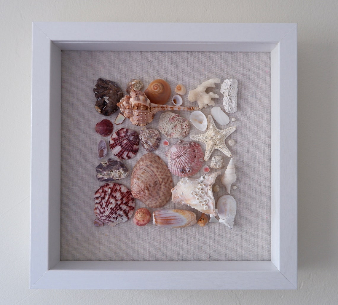 Color Gradient Shell Mosaic Shadow Box Art With Glass Enclosure ...