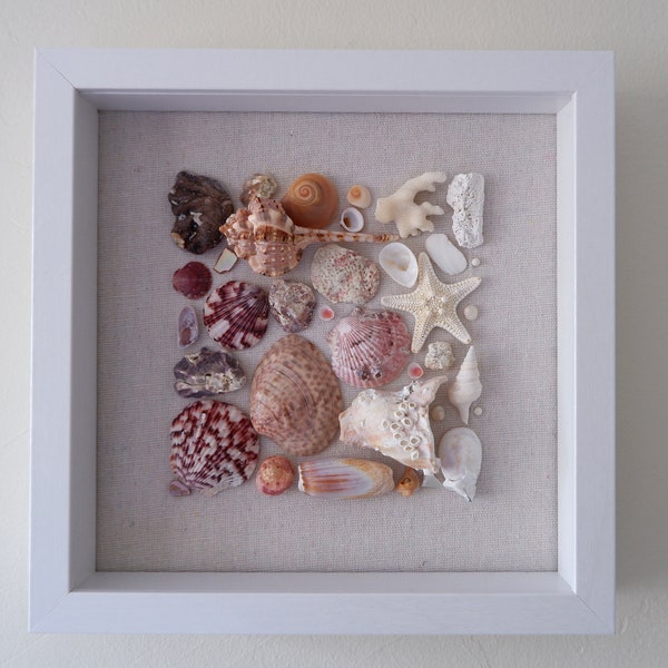 Shell Art Shadow Box - Etsy