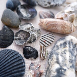 Color Gradient Shell Mosaic Shadow Box Art With Glass Enclosure ...