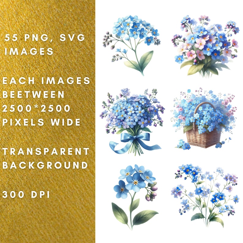 55 Forget-me-nots Clipart Flowers Clipart High Quality Floral Clipart ...
