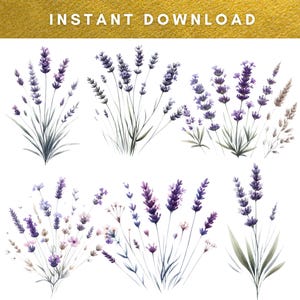 Lavender Flowers Clipart, 25 PNG SVG Images, Floral Lavender Clipart ...