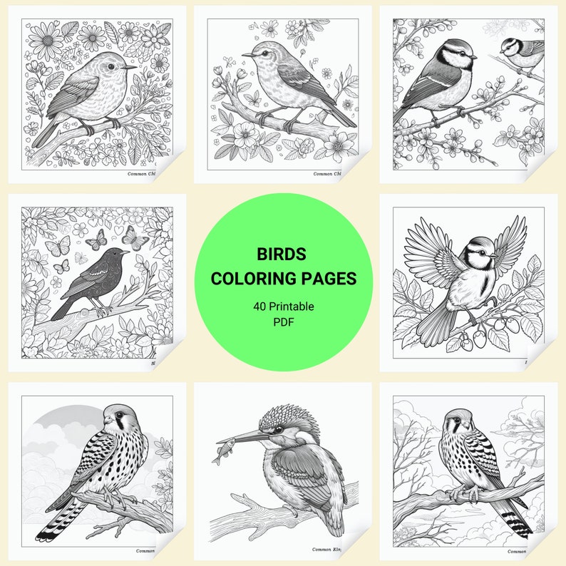 Birds Coloring Pages, Birds Coloring Book, Children Coloring Book ...