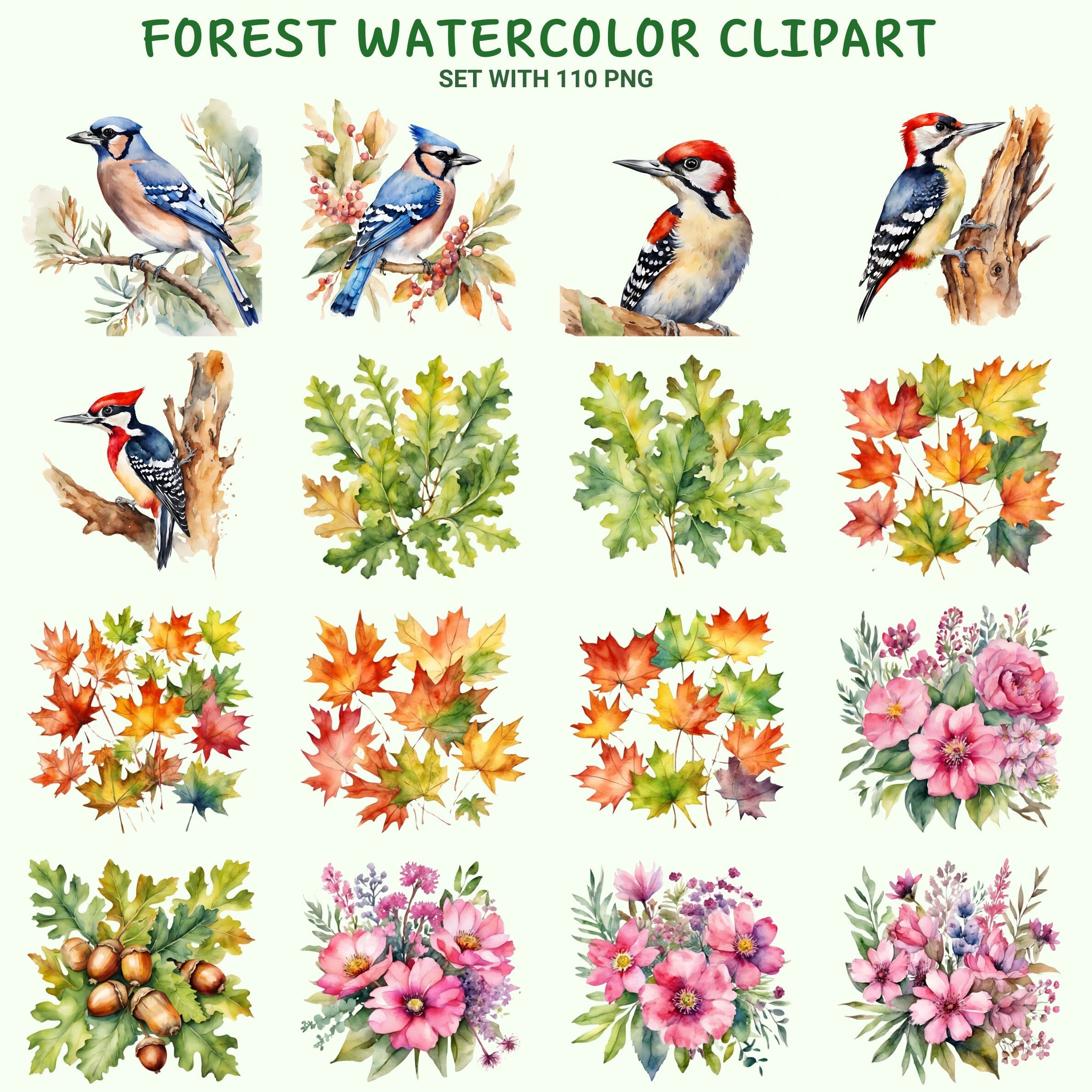 110 Forest Watercolor Clipart High Quality Nature Forest Watercolor ...