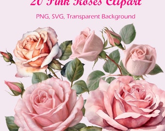 Colorful Roses Clipart 15 High Quality SVG and PNG Files Transparent Background Digital Crafts ...