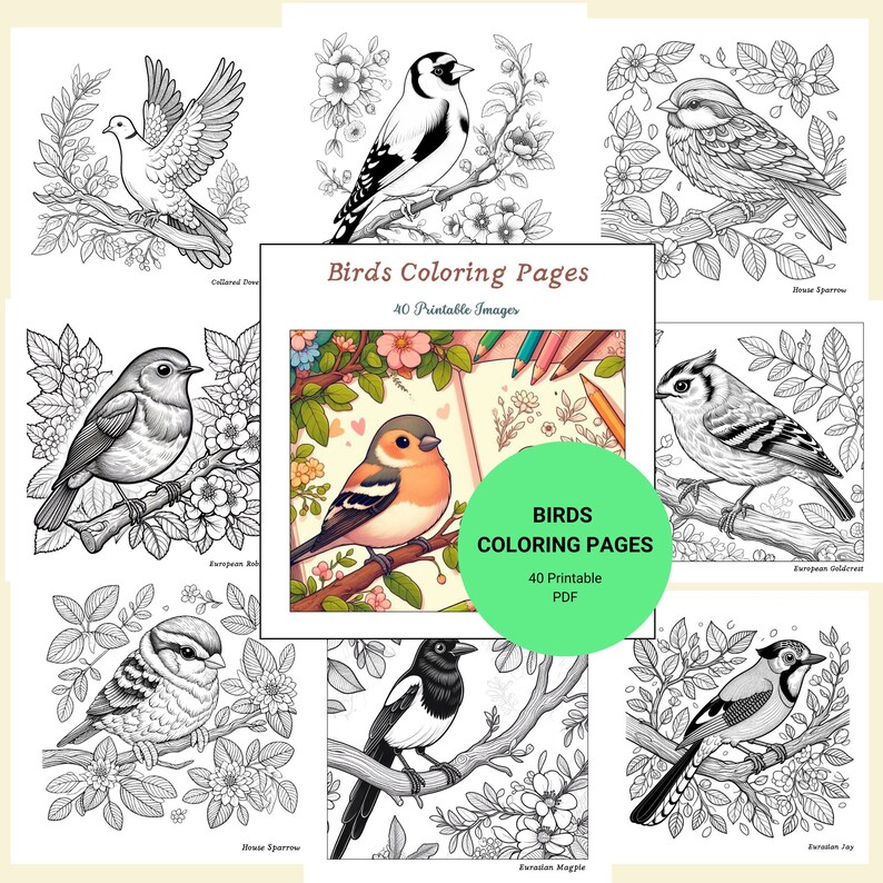 Birds Coloring Pages, Birds Coloring Book, Children Coloring Book ...
